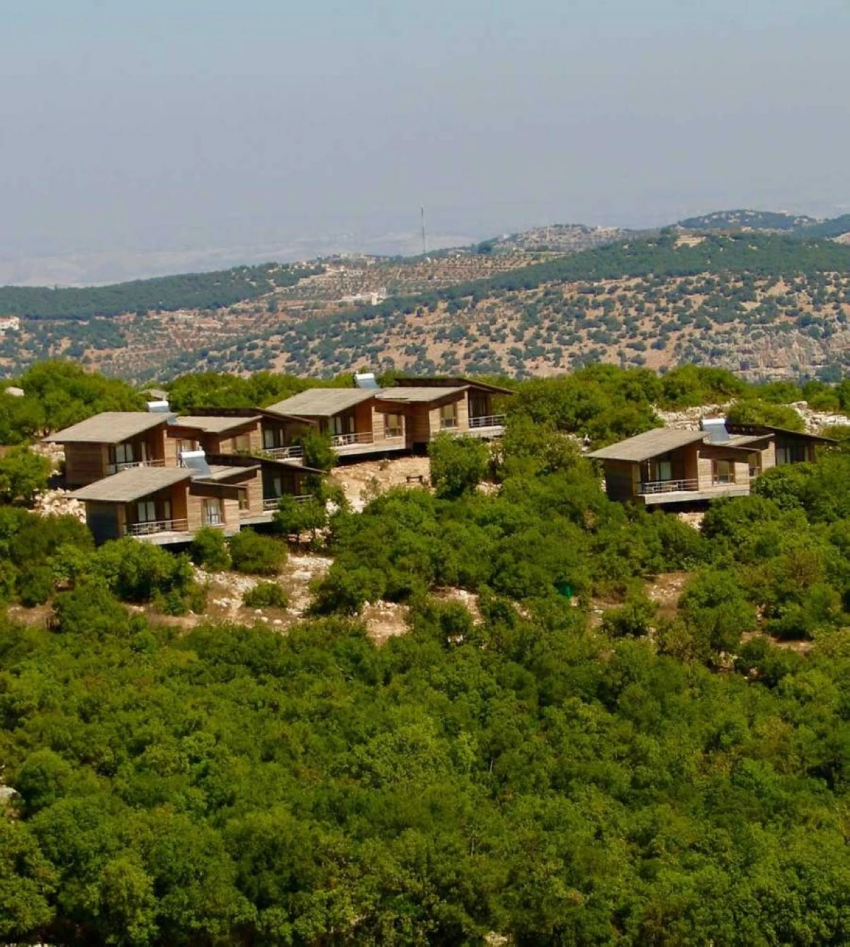 Ajloun, Yarmouk reserves join UNESCO biosphere network | Jordan Times