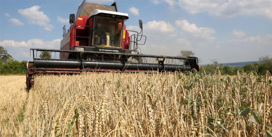 Fixing food could produce trillions in annual benefits | Jordan Times