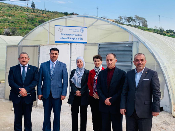 FAO conducts field tour to hydroponics, aquaponics and fish hatchery ...