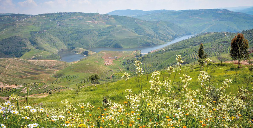 Jordan to witness spring solstice Saturday | Jordan Times