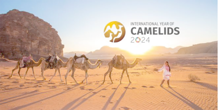 Ships of the Desert: Awareness event for international year of Camelids ...